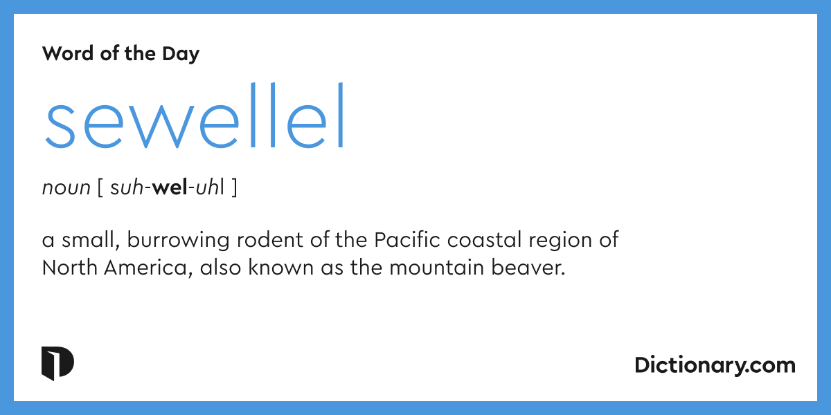 Word of the Day - sewellel | Dictionary.com