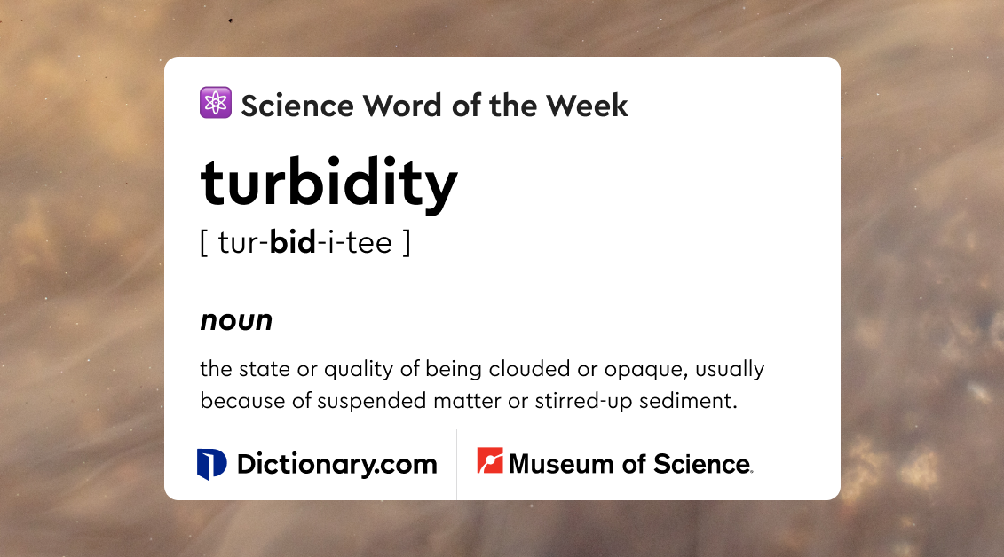 Word of the Day - turbidity | Dictionary.com