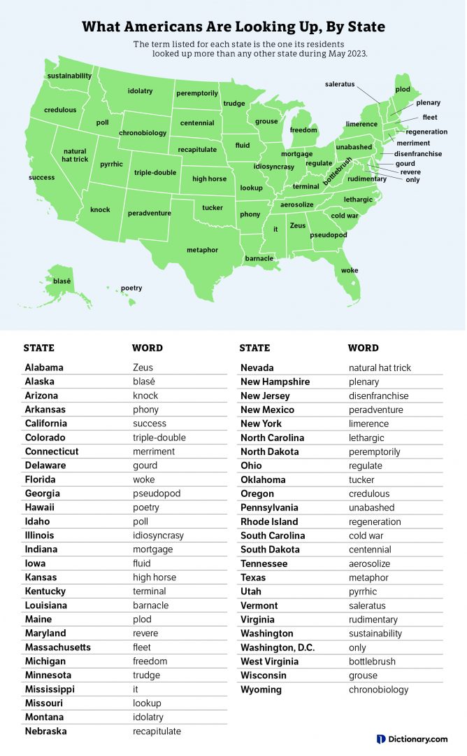 Which Word Each U.S. State Looked Up More Than Any Other | Dictionary.com