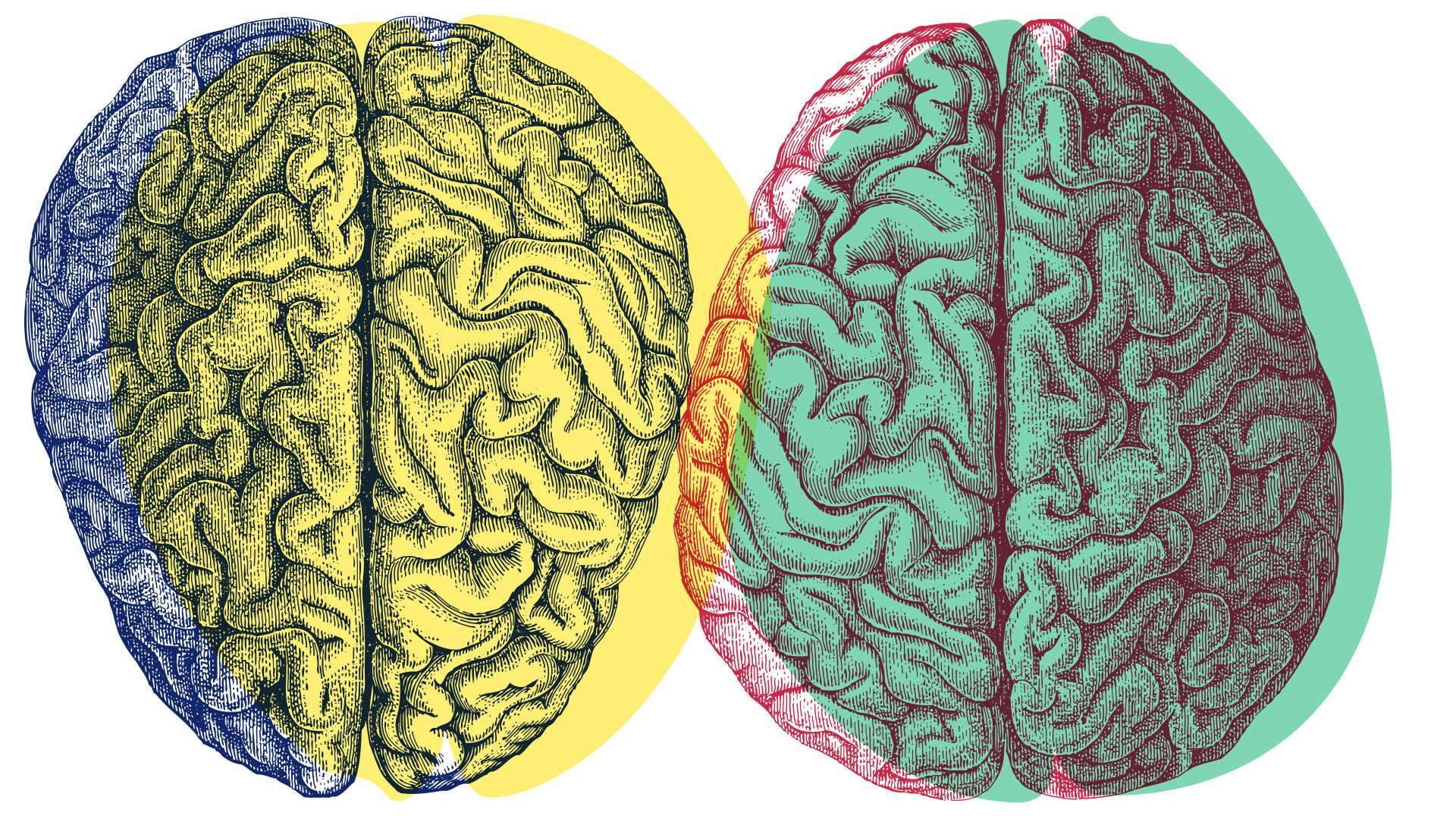 Words To Know To Understand And Respect Neurodiversity | Dictionary.com