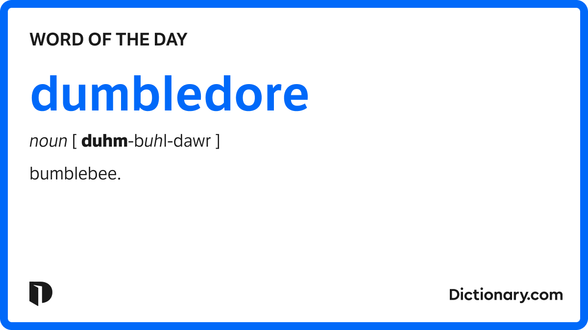 Word of the Day - dumbledore | Dictionary.com